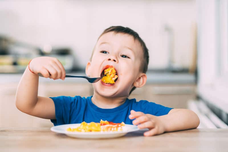 Get Rid of Pungent Food Smells Easily - Aroma Care Solutions